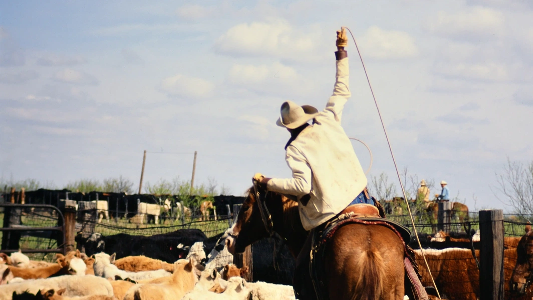 16 stars who live the cowboy life on and off screen