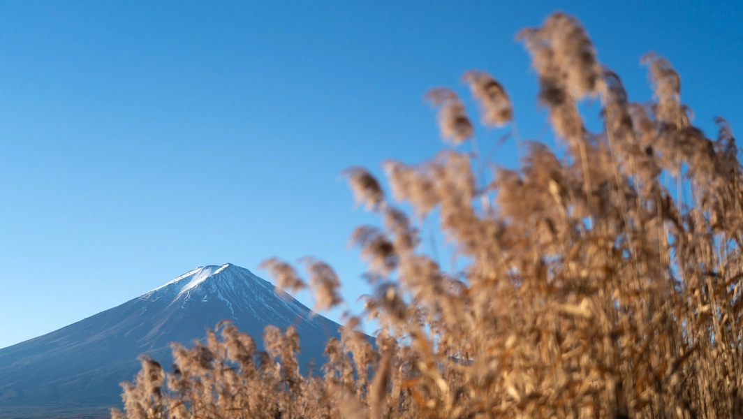 Discover Japan’s beauty from gardens to Mount Fuji