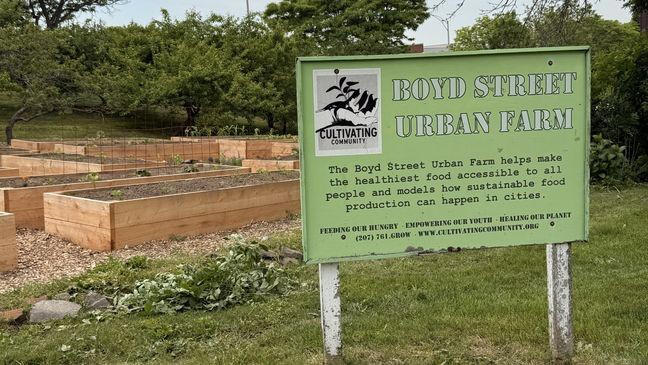 Boyd Street Community Farm welcomes all for fresh produce tended by ...