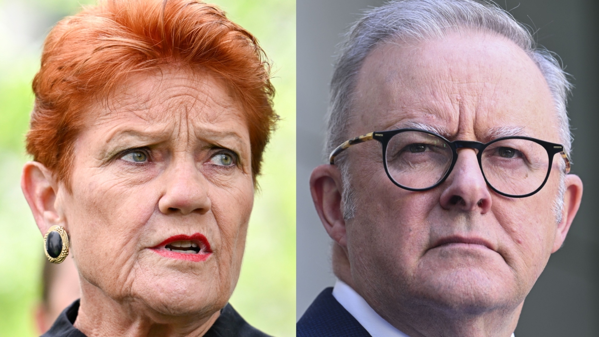Albanese 'looking like a fool' after claim 'Fire the Liar' donations ...