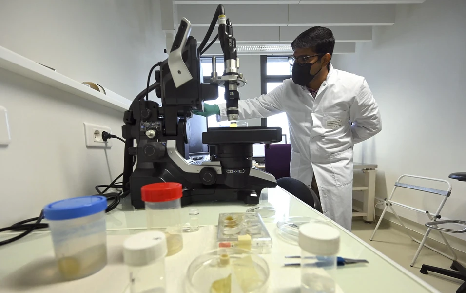 Studies link food preservatives to heart risks and reveal hunger brain ...