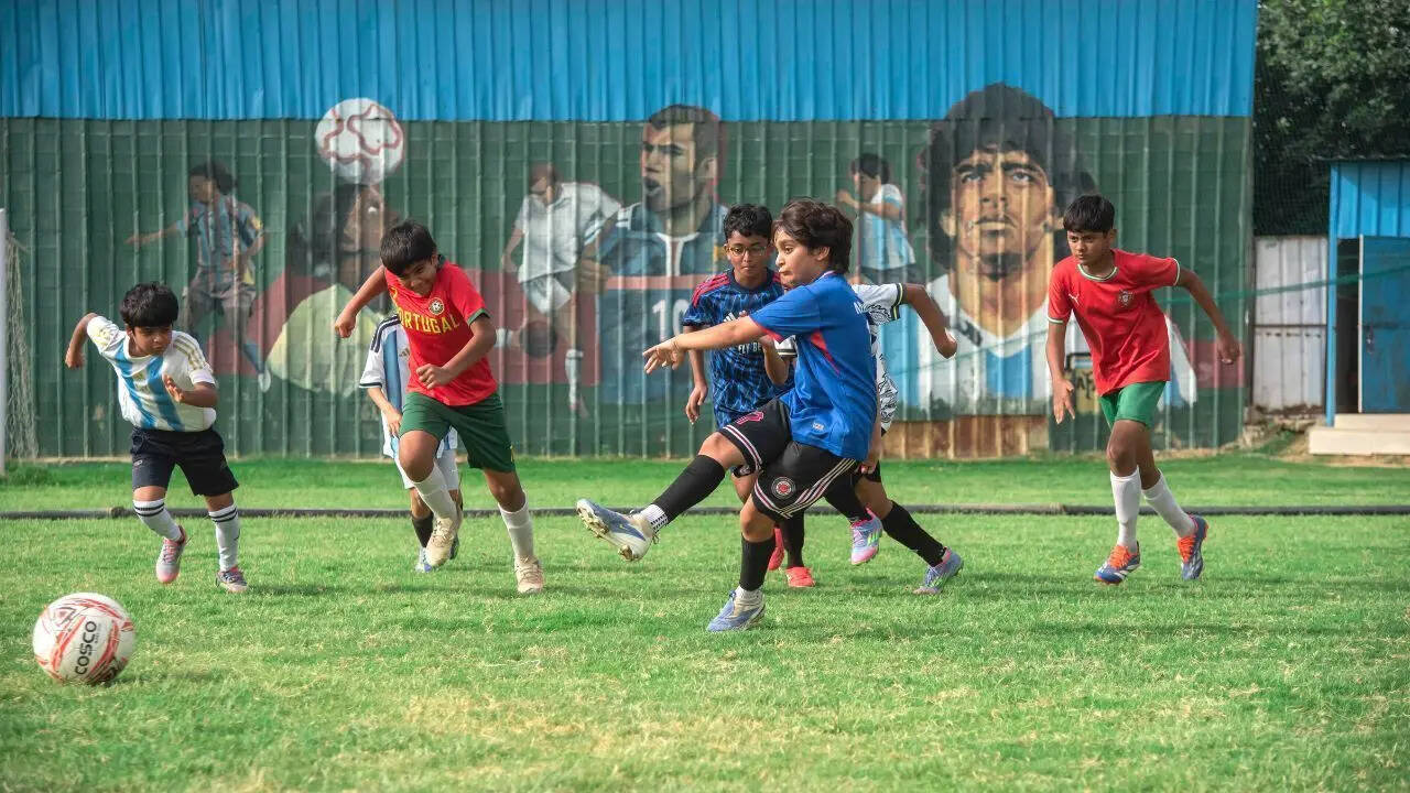 FIFA World Cup madness grips fans in Delhi NCR