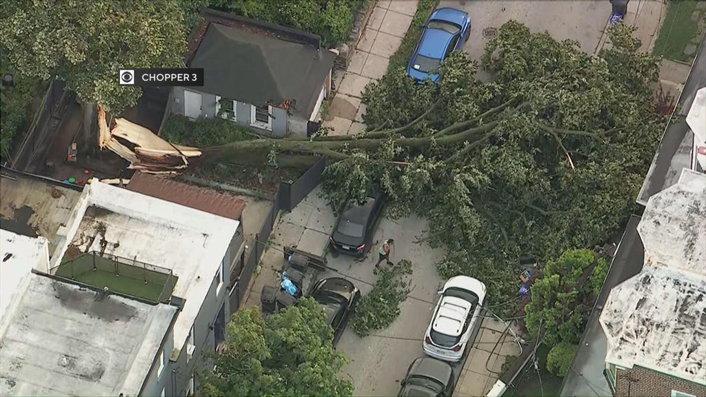 Storms topple trees, knock out power in Philadelphia's Mount Airy ...