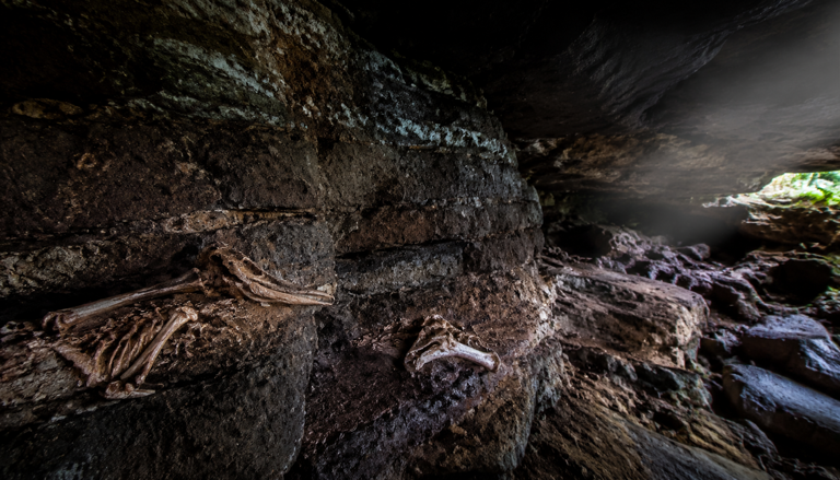 Des scientifiques découvrent dans une grotte insulaire les vestiges d ...