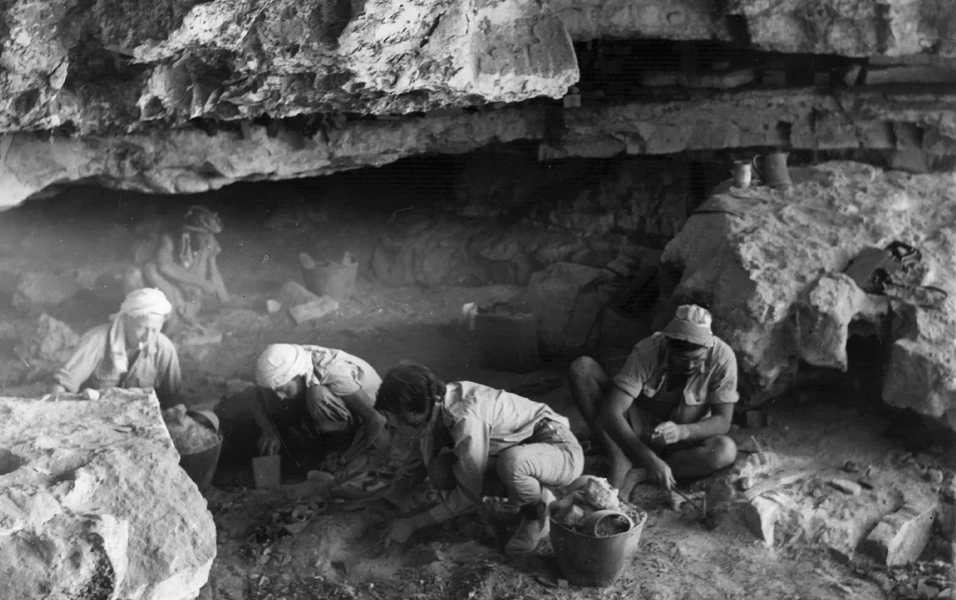 Ancient tools in Sulawesi cave hint at unknown hominin