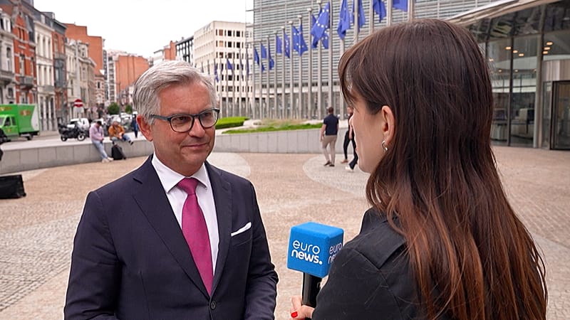 ‘Human dignity’ and ‘international law’ sit at the core of the EU's ...