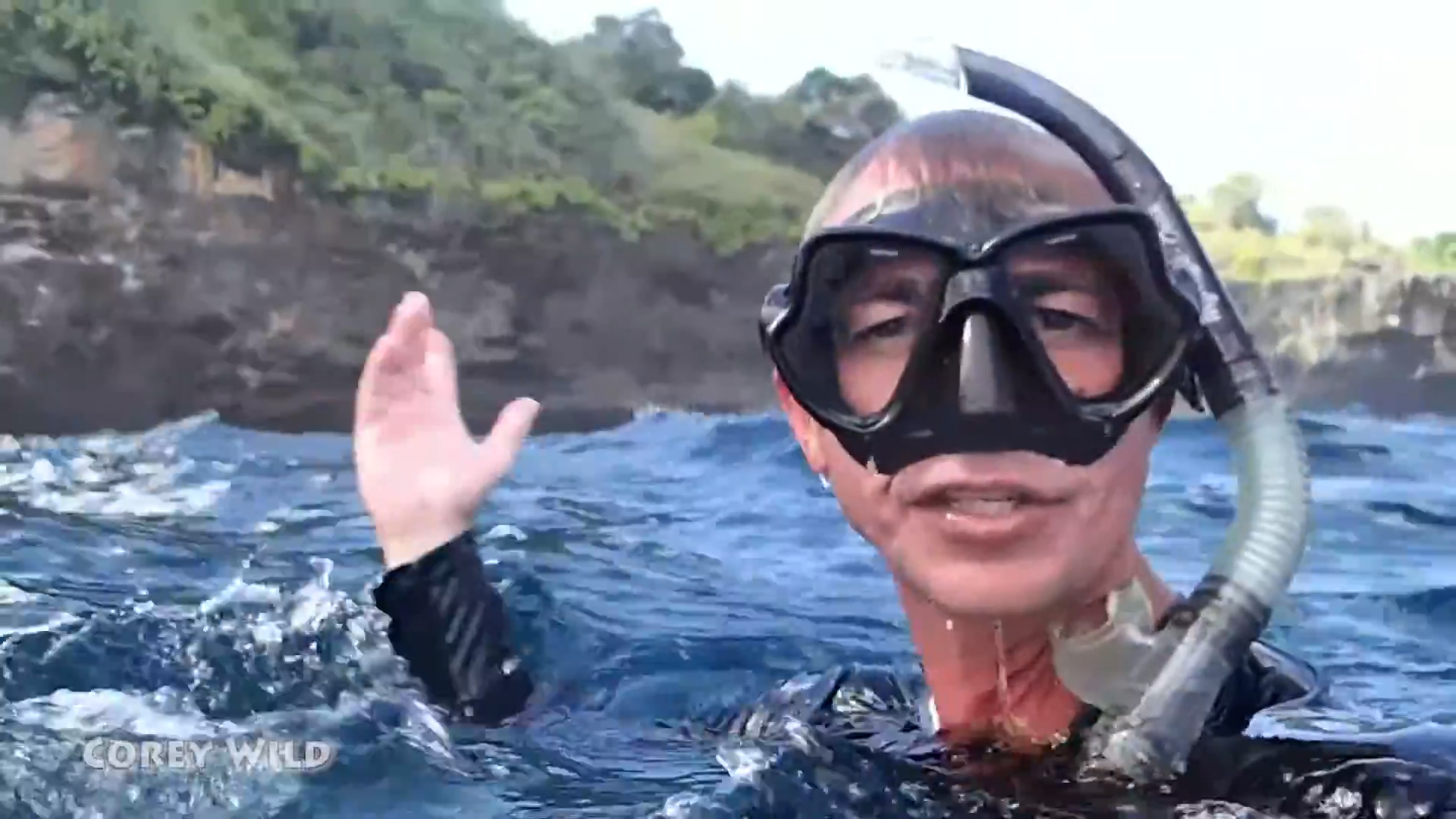Wild Planet | Manta rays, whale sharks and the deep blue