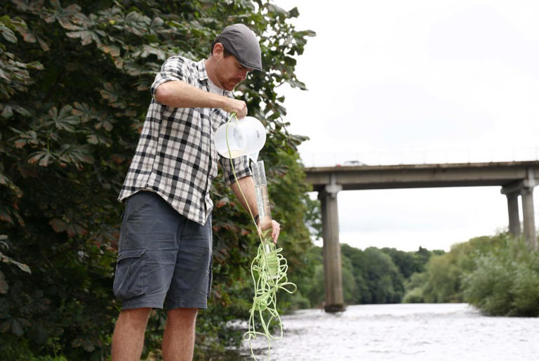 The River Wye recognised as living ecosystem in UK first: here's why it ...