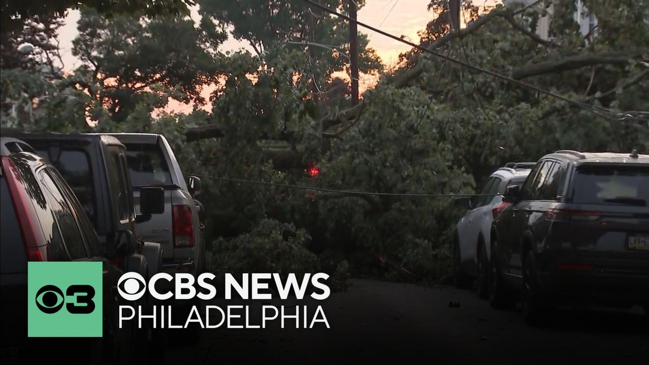 Strong storms topple trees, knock out power across Northwest Philadelphia