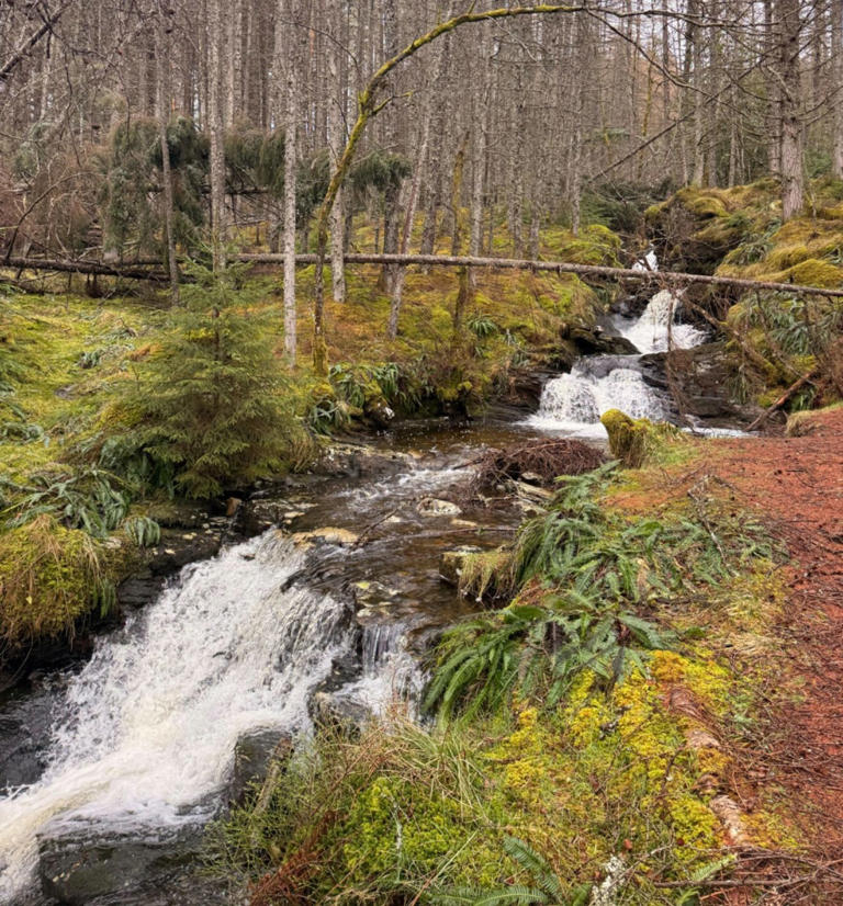 The Loch Ness hotel with 'secret' waterfalls and the best grub in the ...