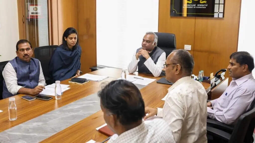 Karnataka finalises blueprint for 1 phase of Kalaburagi textile park ...
