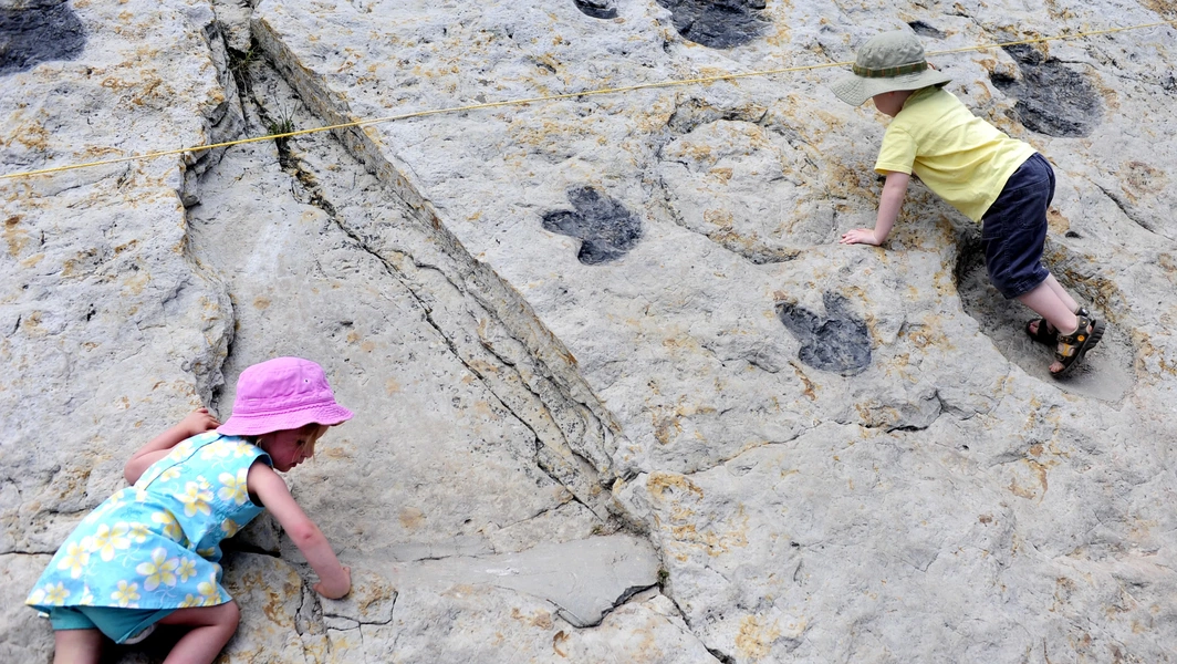 Ancient dinosaur tracks of Denali's coliseum