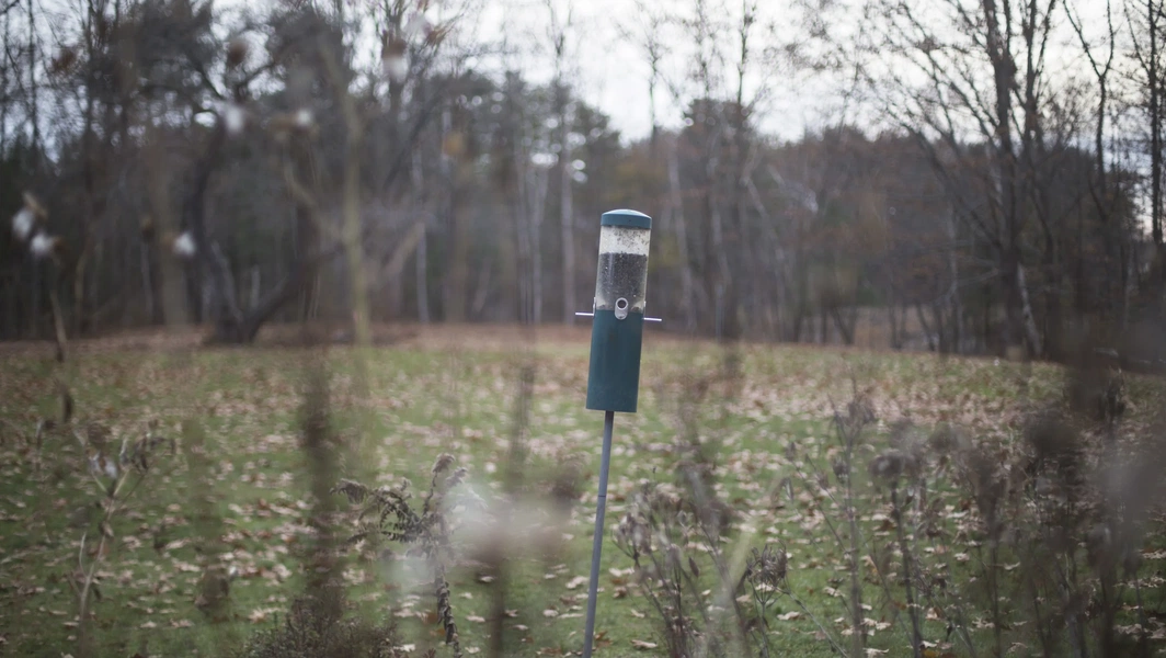 Practical methods to keep snakes away