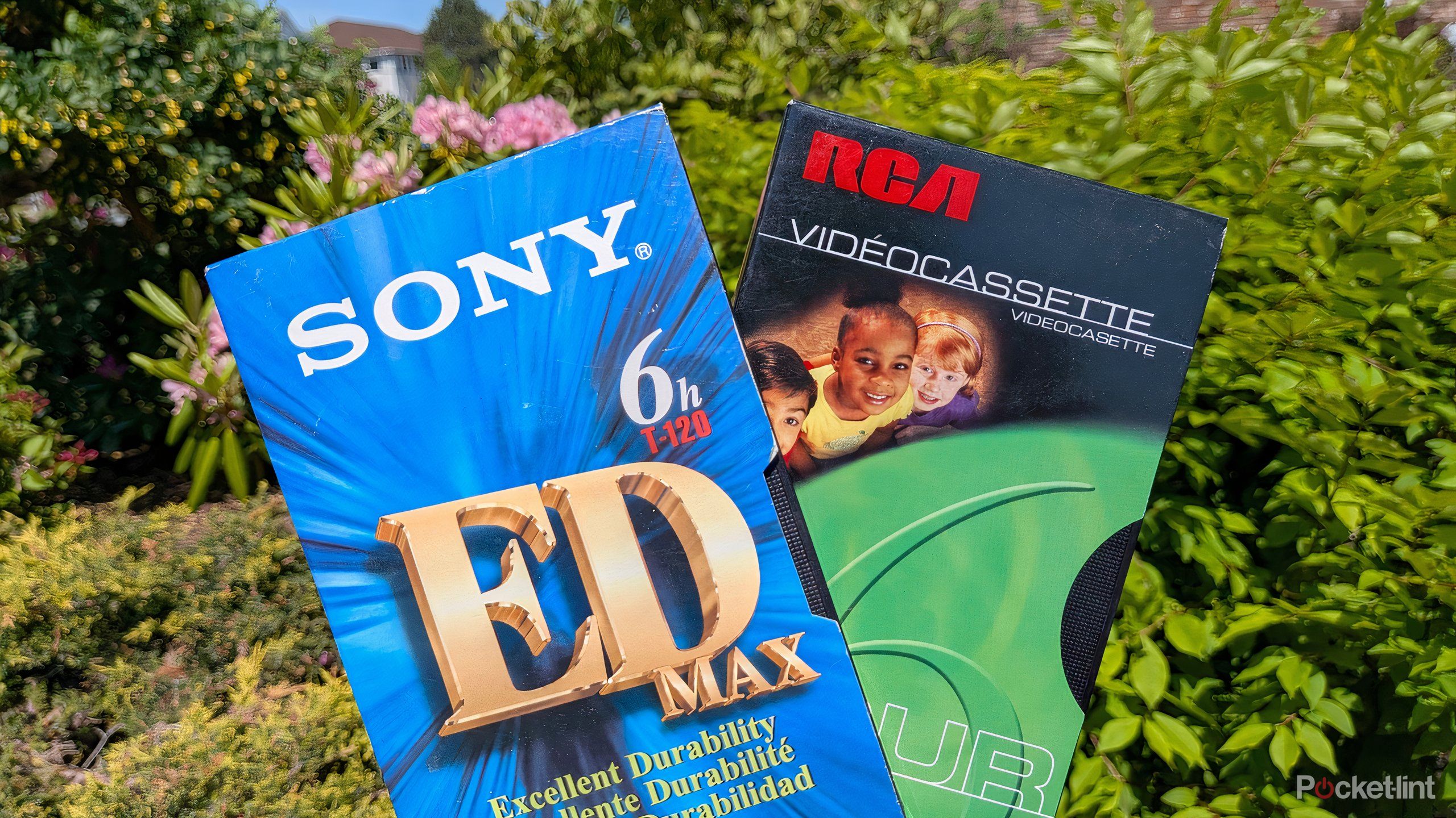 DVDs will never measure up to VHS in one key way - and it's not the one ...