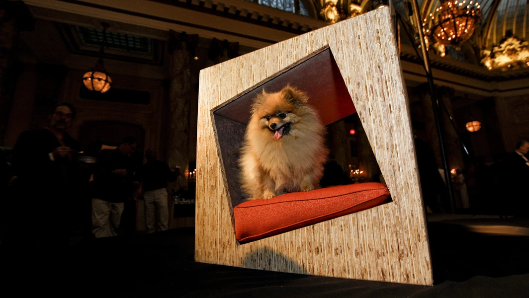 8 creative and luxurious dog house designs