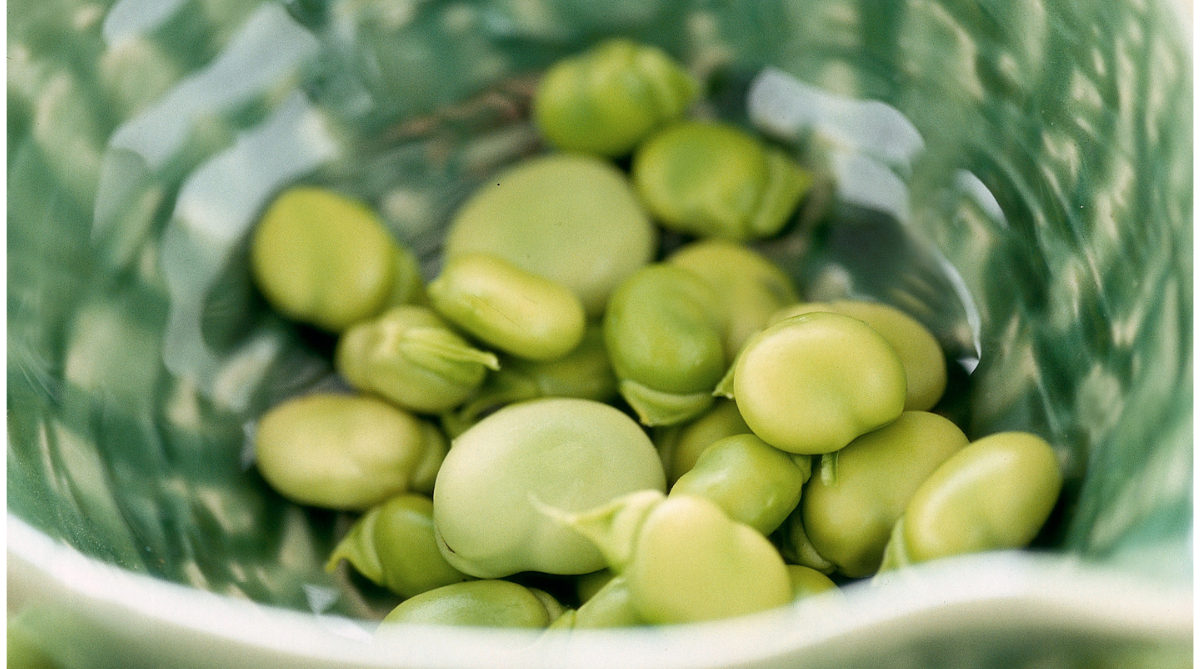 Pitagora, il vegetariano che odiava le fave