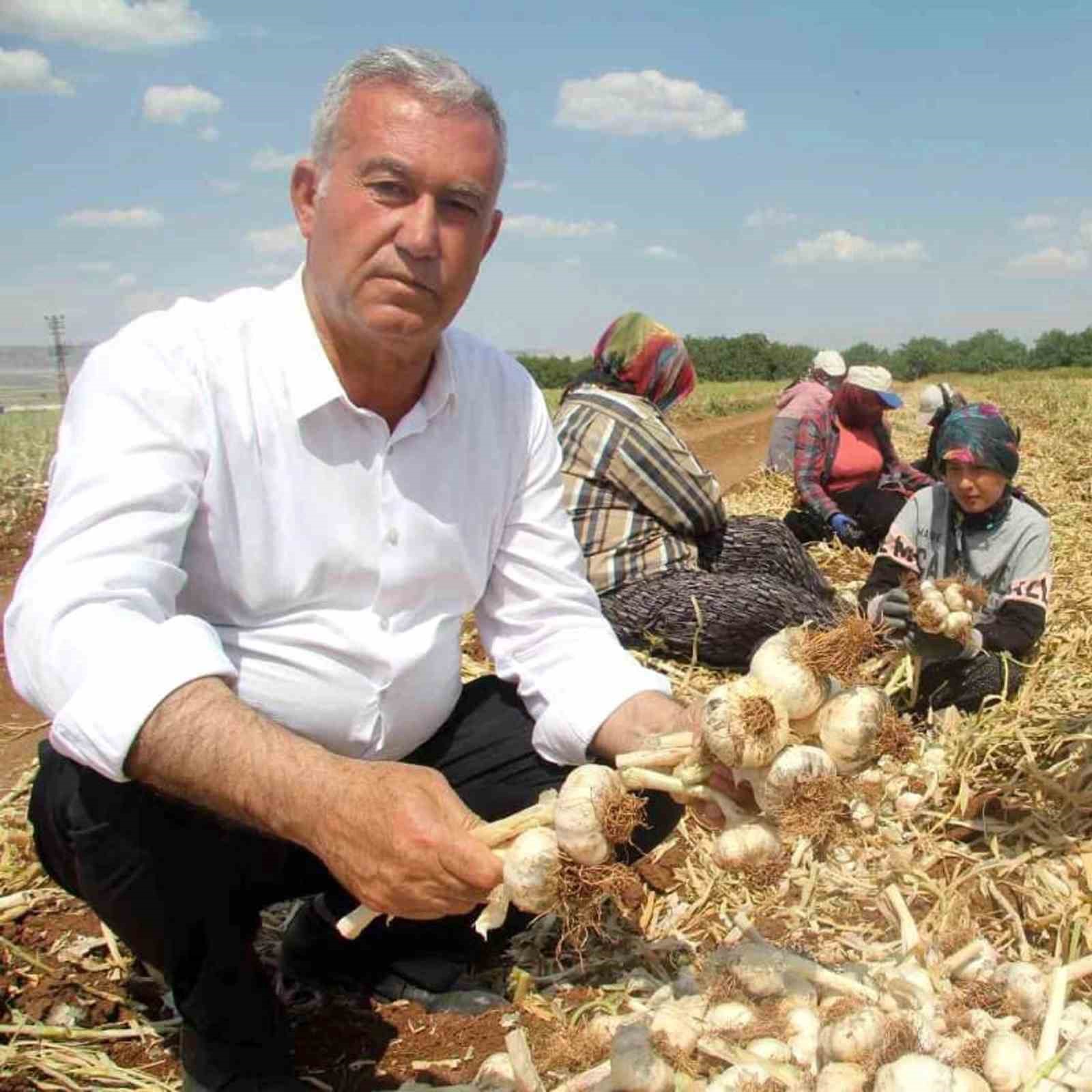 Hasan Altun’dan ‘Toprak Bayramı Haftası’ kutlama mesajı