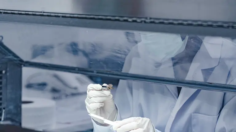 « On se tire une balle dans le pied », le CNRS manifeste contre les ...