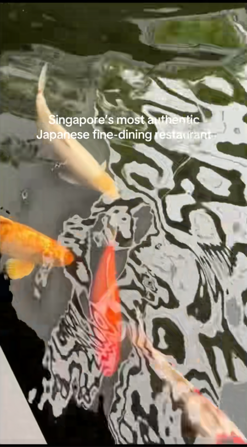 Exploring the new sushi counter at one of Singapore’s finest restaurants