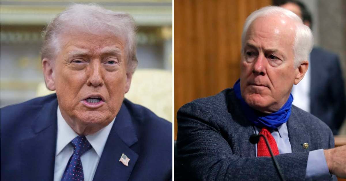 After losing Senate, Cornyn predicts Trump will face 'most miserable ...