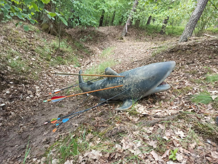 Tarcza czuje, gdy udajesz. Łucznik o sekretach swojej życiowej pasji