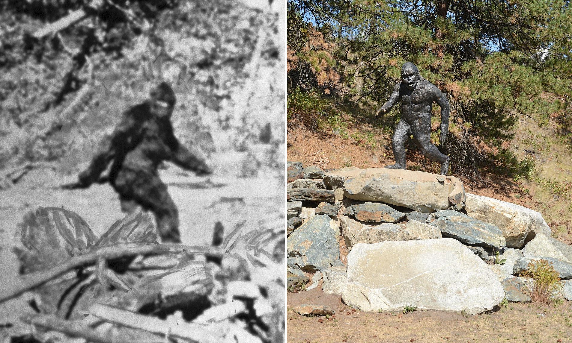 Bigfoot fever in Canada after spate of sightings as witness describes ...