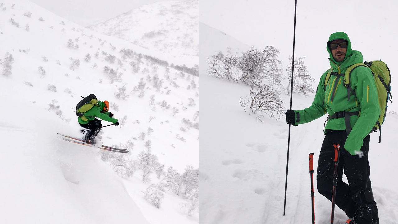 Husky living his best life in Niseko, Hokkaido, Japan