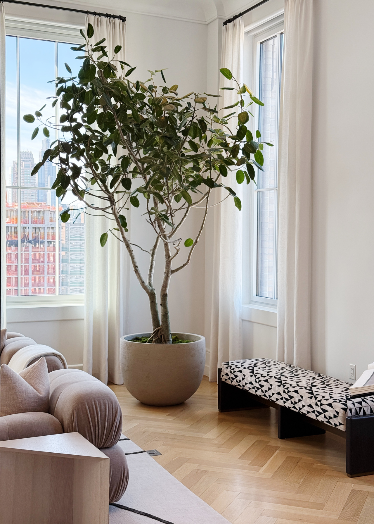 4 soil cover ideas for potted houseplants (and which ones look best)