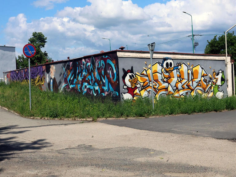Garaże na osiedlu Piekary w Legnicy to centrum murali, jest ich ...