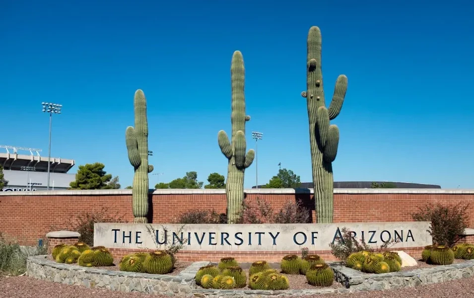 University of Arizona links sleep habits to faster brain aging