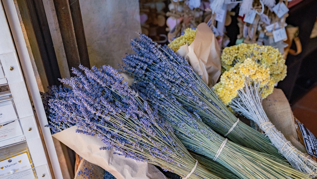 14 fragrant plants ideal for balcony gardens