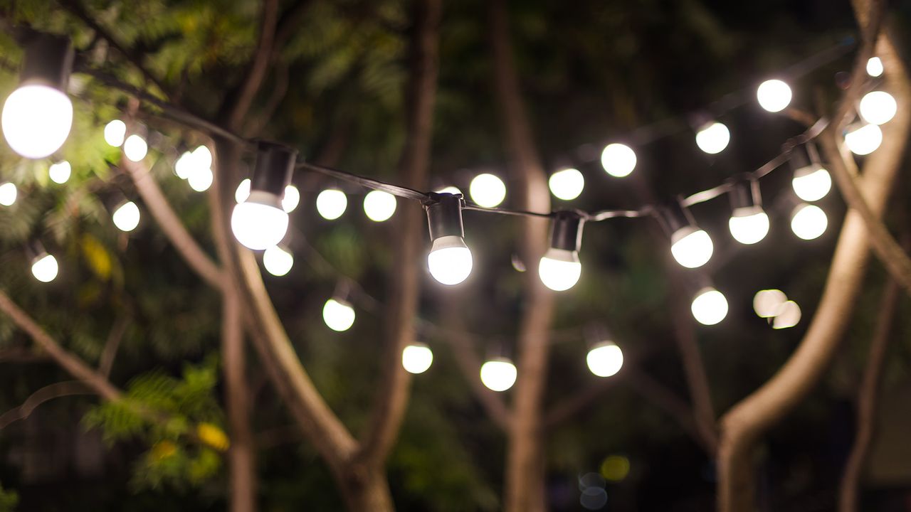 The solar-powered garden — embracing the sun to power up your yard