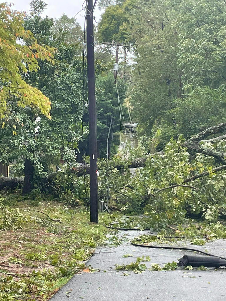 Curb Florida's power over local governments | Opinion
