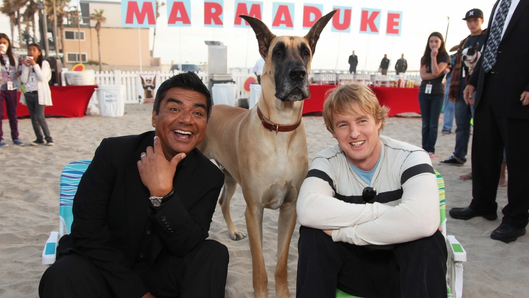 Brad Anderson and the legacy of Marmaduke