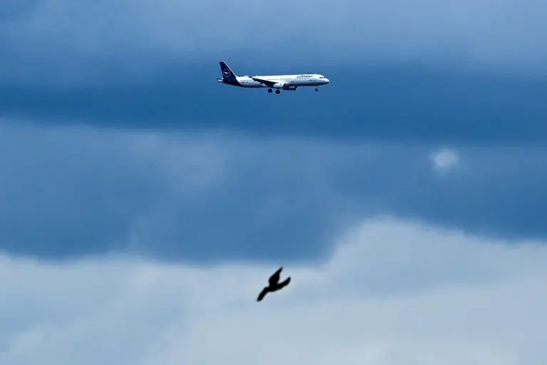 Germany's Hamburg airport terminal evacuated after security incident