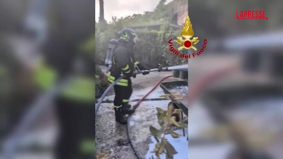 Roma, incendio in un vivaio: l'intervento dei Vigili del Fuoco