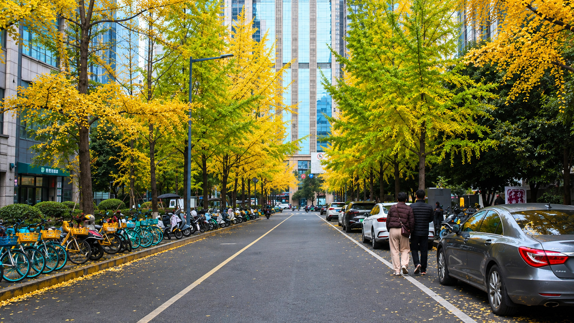 Esta avenida chinesa esconde a beleza do outono entre torres e bicicletas