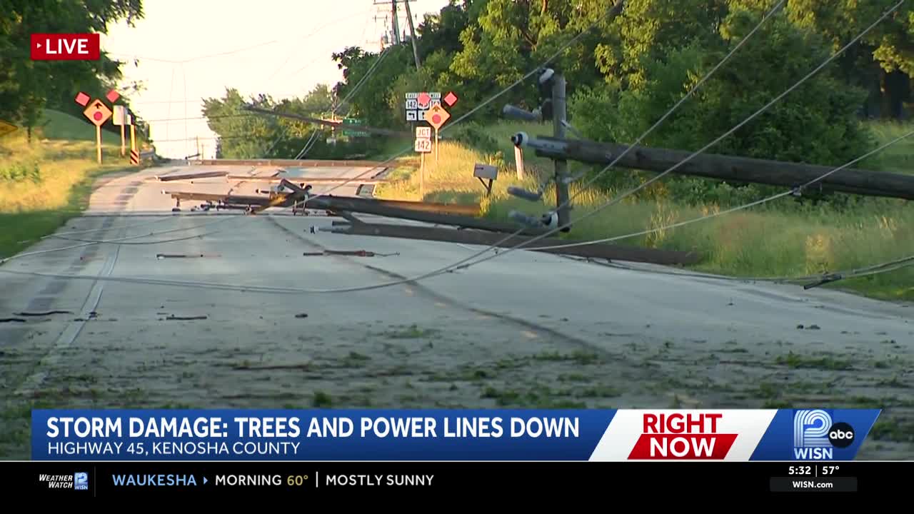 Storm damage: Trees and power lines down