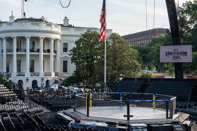 Hunter Biden rejects Joe Rogan's UFC defense, says White House isn't ...