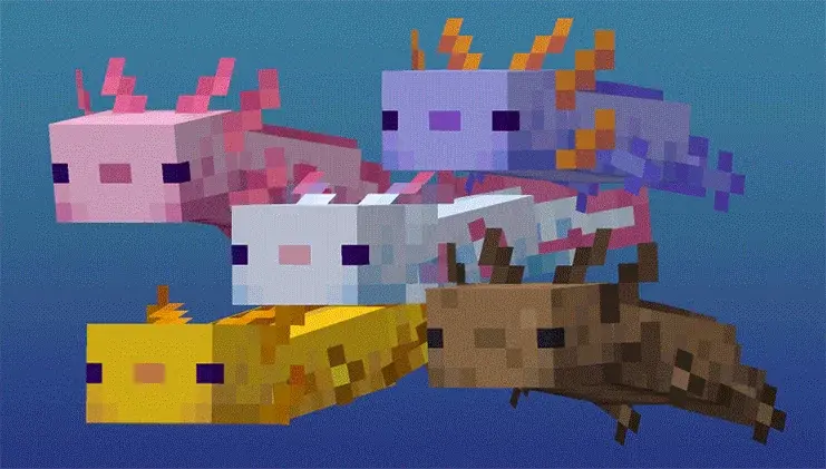10 rather useless items in Minecraft