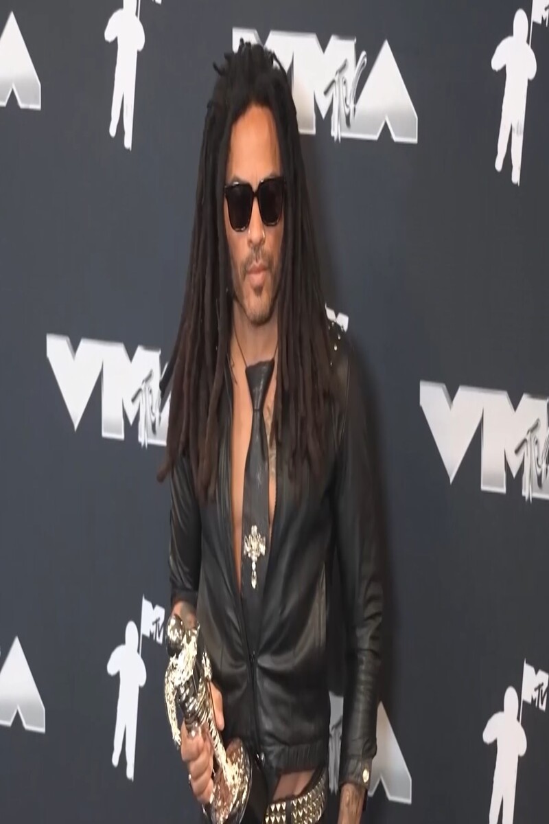 Lenny Kravitz's MTV Video Music Awards appearance