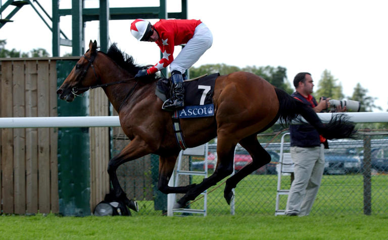 Kinane reflects on Rock of Gibraltar cementing star status at Ascot