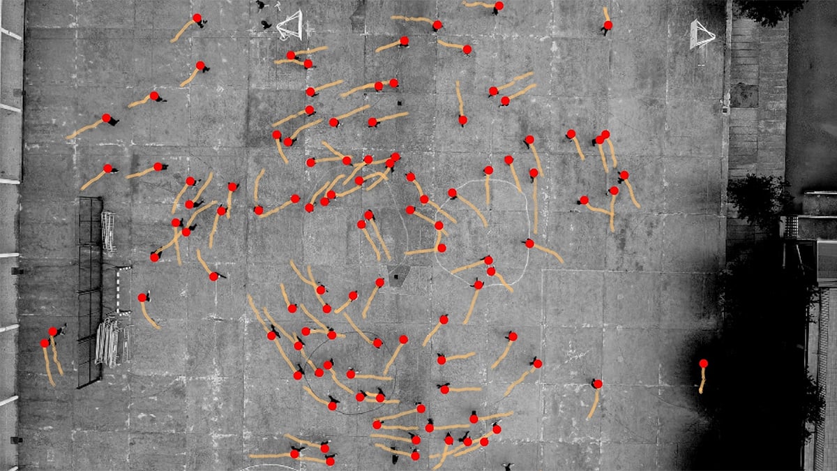 Scientists discover a strange global pattern in the way humans walk