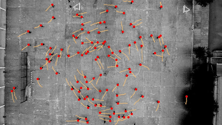 Scientists discover a strange global pattern in the way humans walk