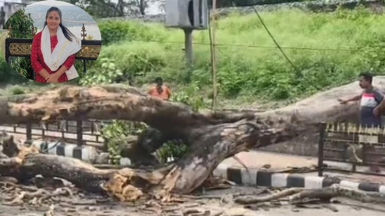 College student killed, another injured after tree falls on scooter in ...