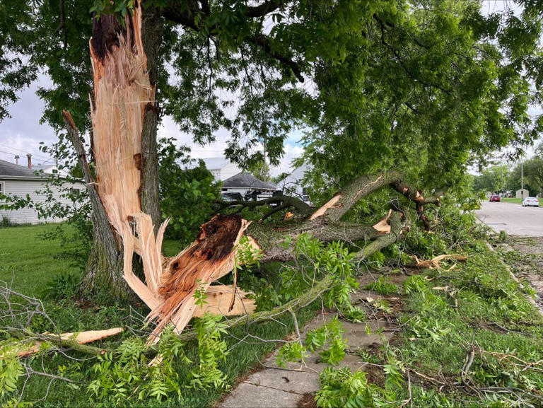 Mercer County hit by straight line winds, not tornado: NWS