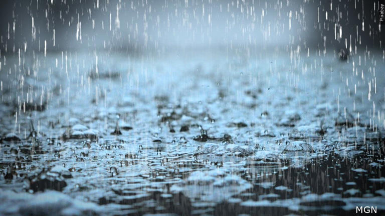 Sewer backup floods basements in Cedar Rapids, city says