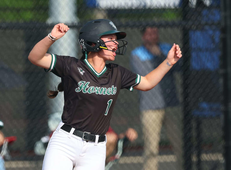 Syracuse.com's All-Central New York large school softball team ...