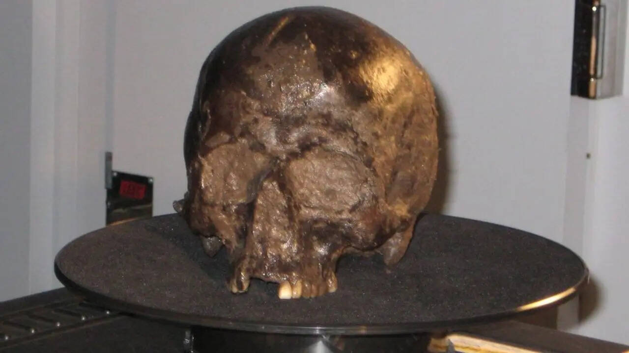 Scientists found a 2,600-year-old brain inside an Iron Age skull and it ...