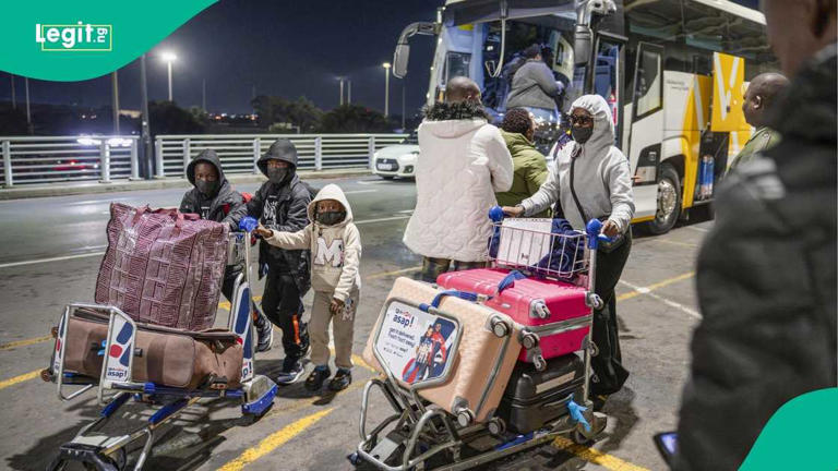 Beyond repatriation: Nigeria's challenge of returning migrants